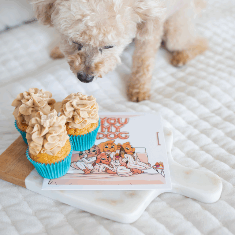 To Buy or To Bake Dog Treats: How to Make the Right Decision for You ...